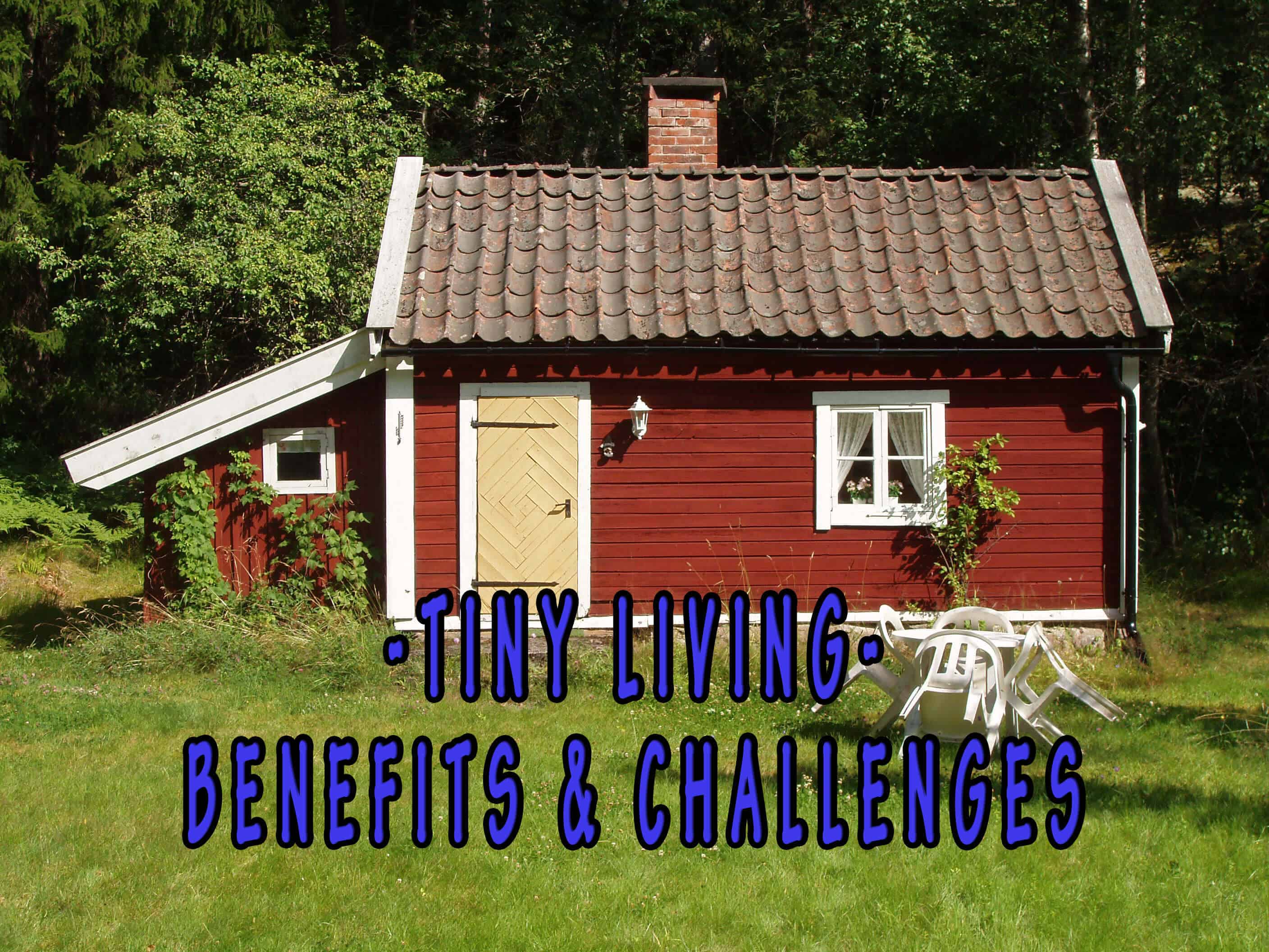 The Benefits And Challenges Of Living In A Tiny House - Prepper's Will