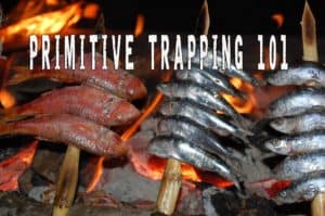 Primitive Trapping 101 - Prepper's Will