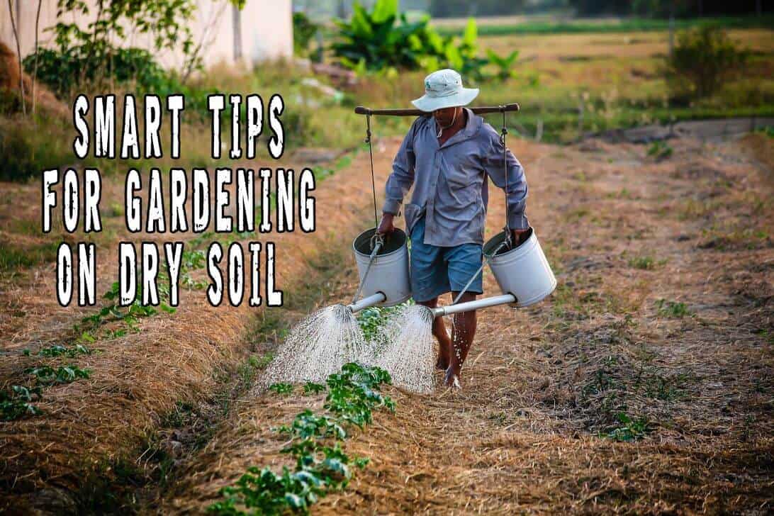 Smart Tips For Gardening On Dry Soil - Prepper's Will