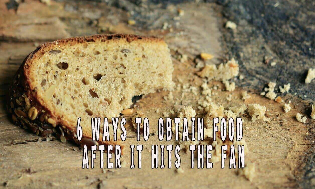 Six Ways To Obtain Food After It Hits The Fan - Prepper's Will