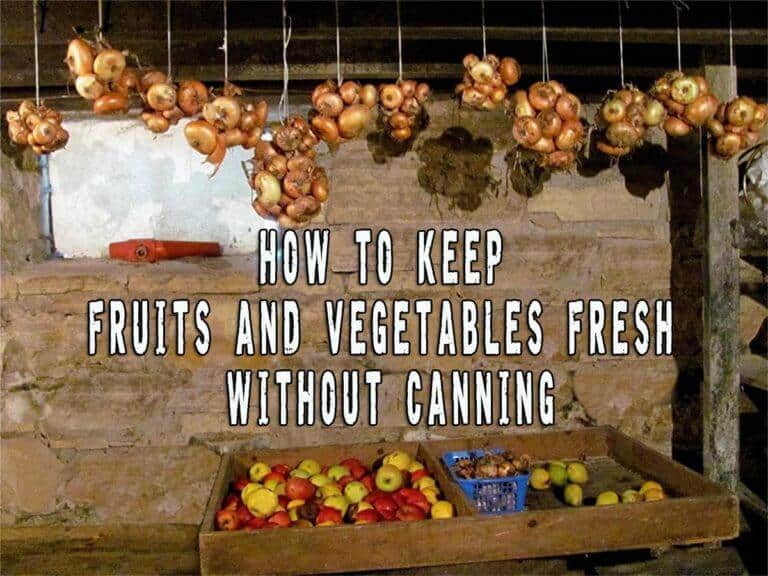 How to Keep Fruits and Vegetables Fresh Without Canning - Prepper's Will