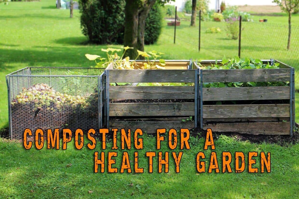Composting For A Healthy Garden – How to Compost - Prepper's Will
