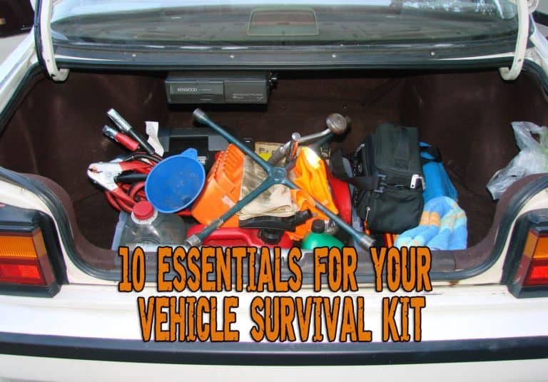 10 Essential Items for Your Vehicle Survival Kit