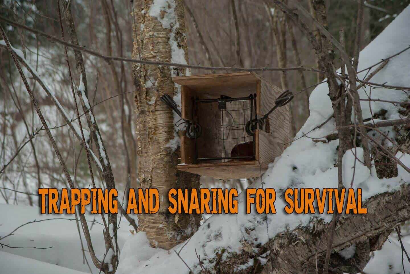 Trapping and Snaring for Survival - Prepper's Will