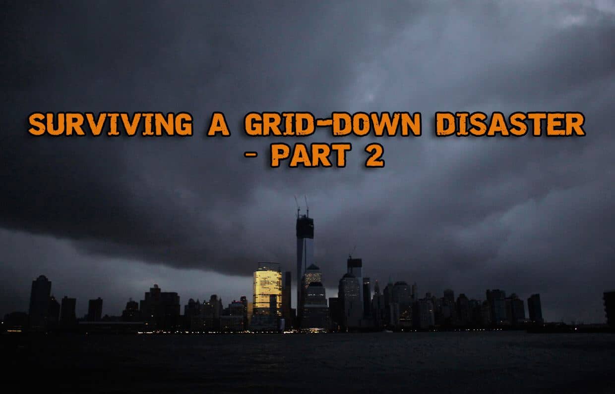 Surviving a Grid-down Disaster – Part 2 - Prepper's Will