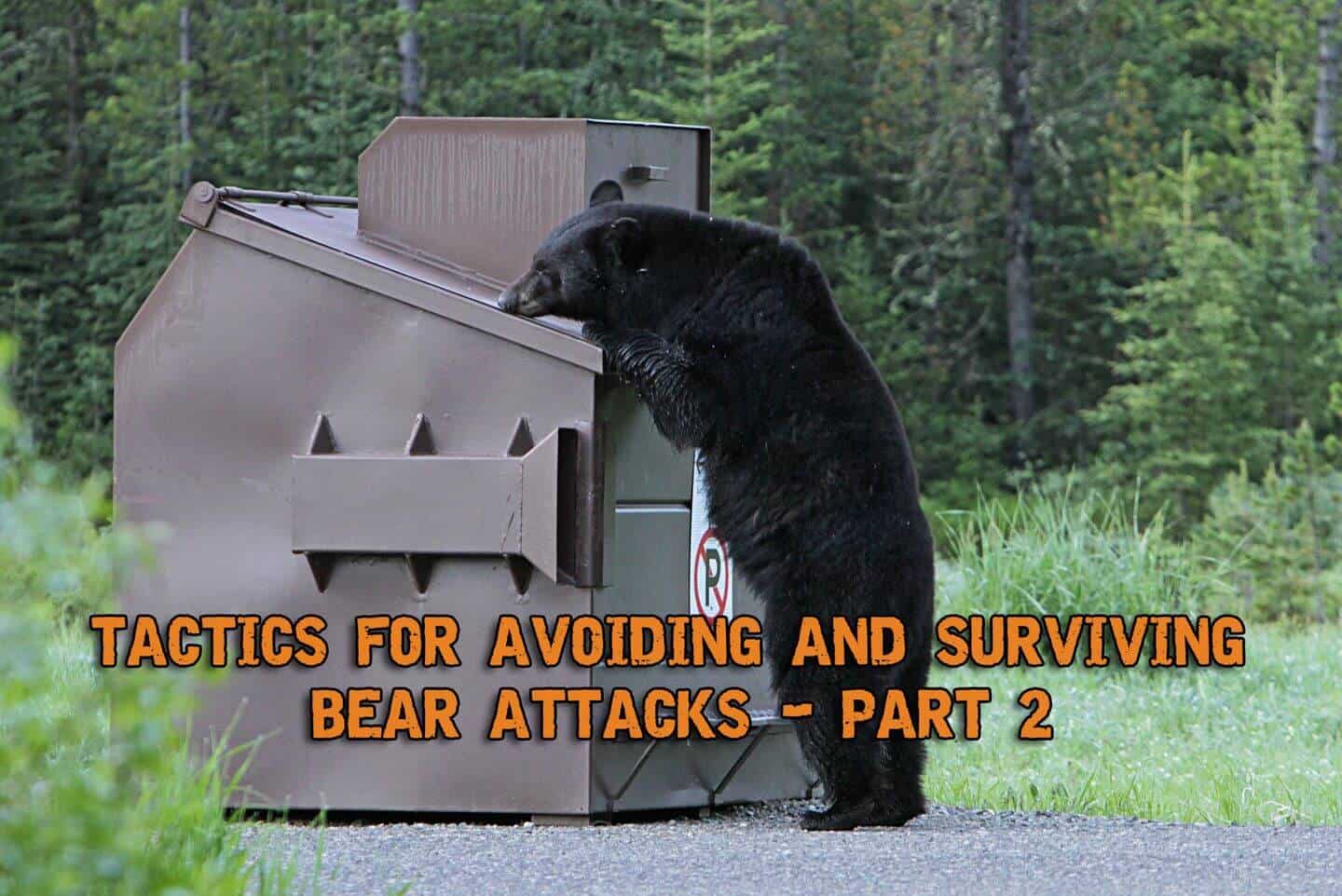 Tactics For Avoiding And Surviving Bear Attacks - Part 2 - Prepper's Will