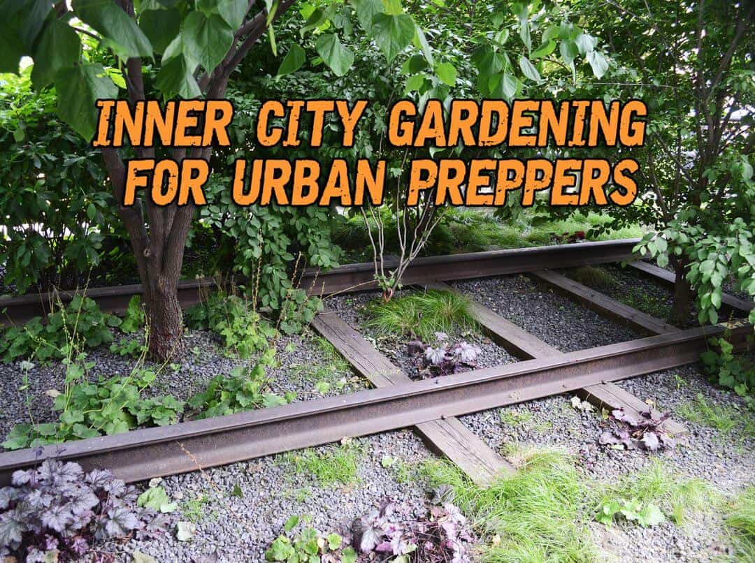 Smart Inner City Gardening For Urban Preppers - Prepper's Will