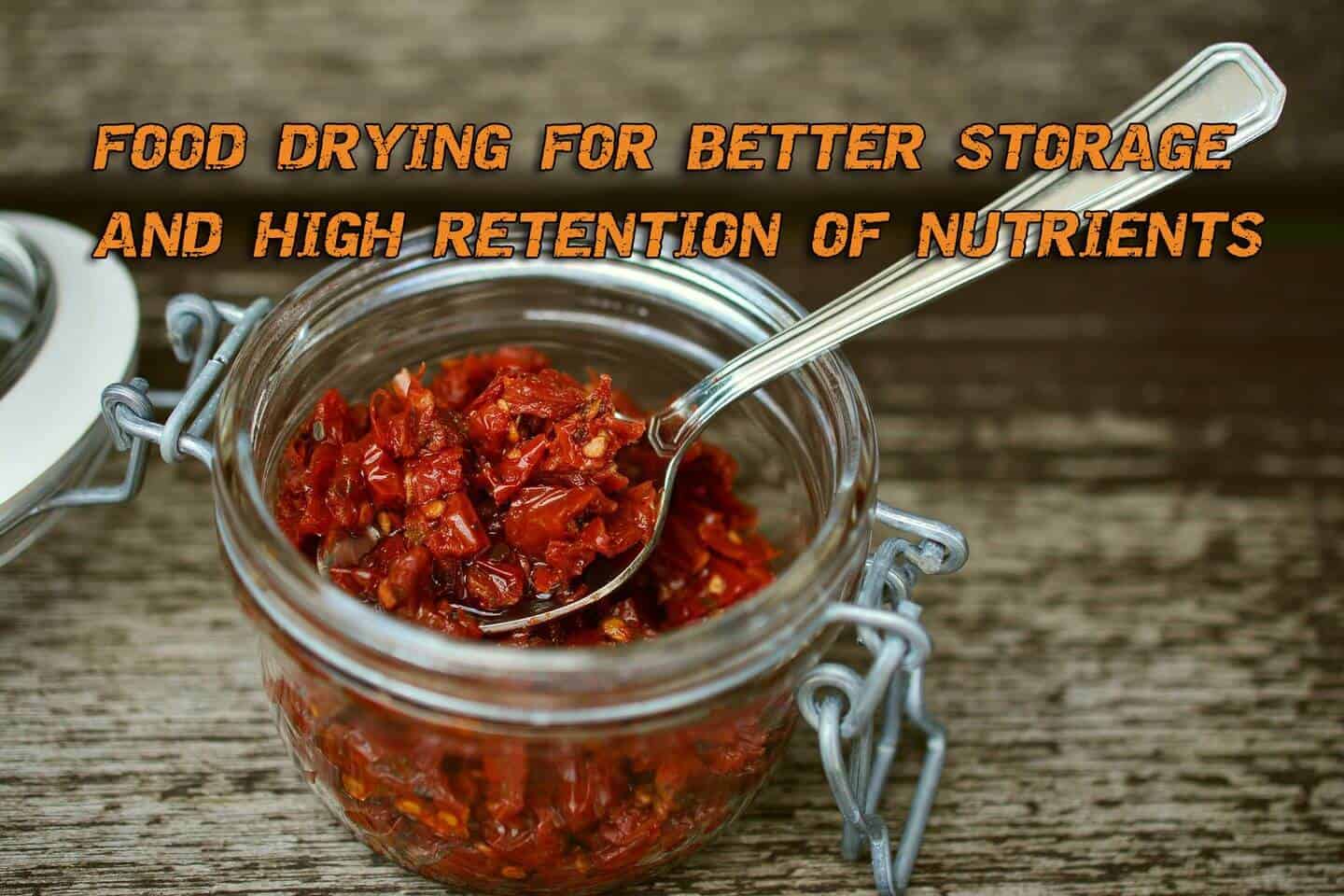 Food Drying For Better Storage And High Retention Of Nutrients ...