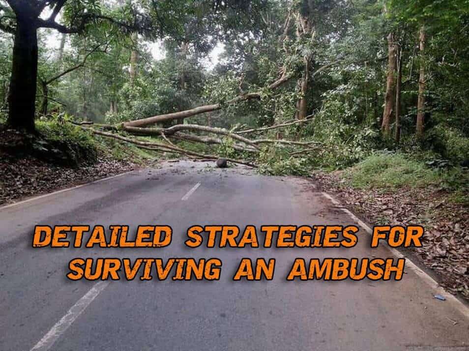Detailed Strategies For Surviving An Ambush - Prepper's Will
