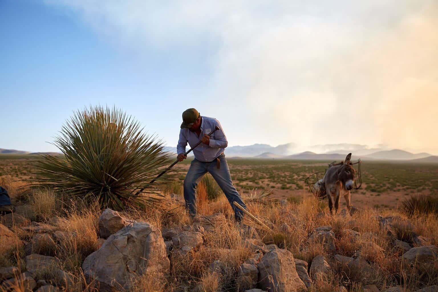 Food Gathering In The Wilderness With 4 Essential Tools - Prepper's Will