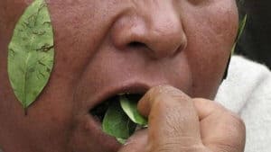 The Universal Edibility Test - The 9 Critical and Lifesaving Steps ...