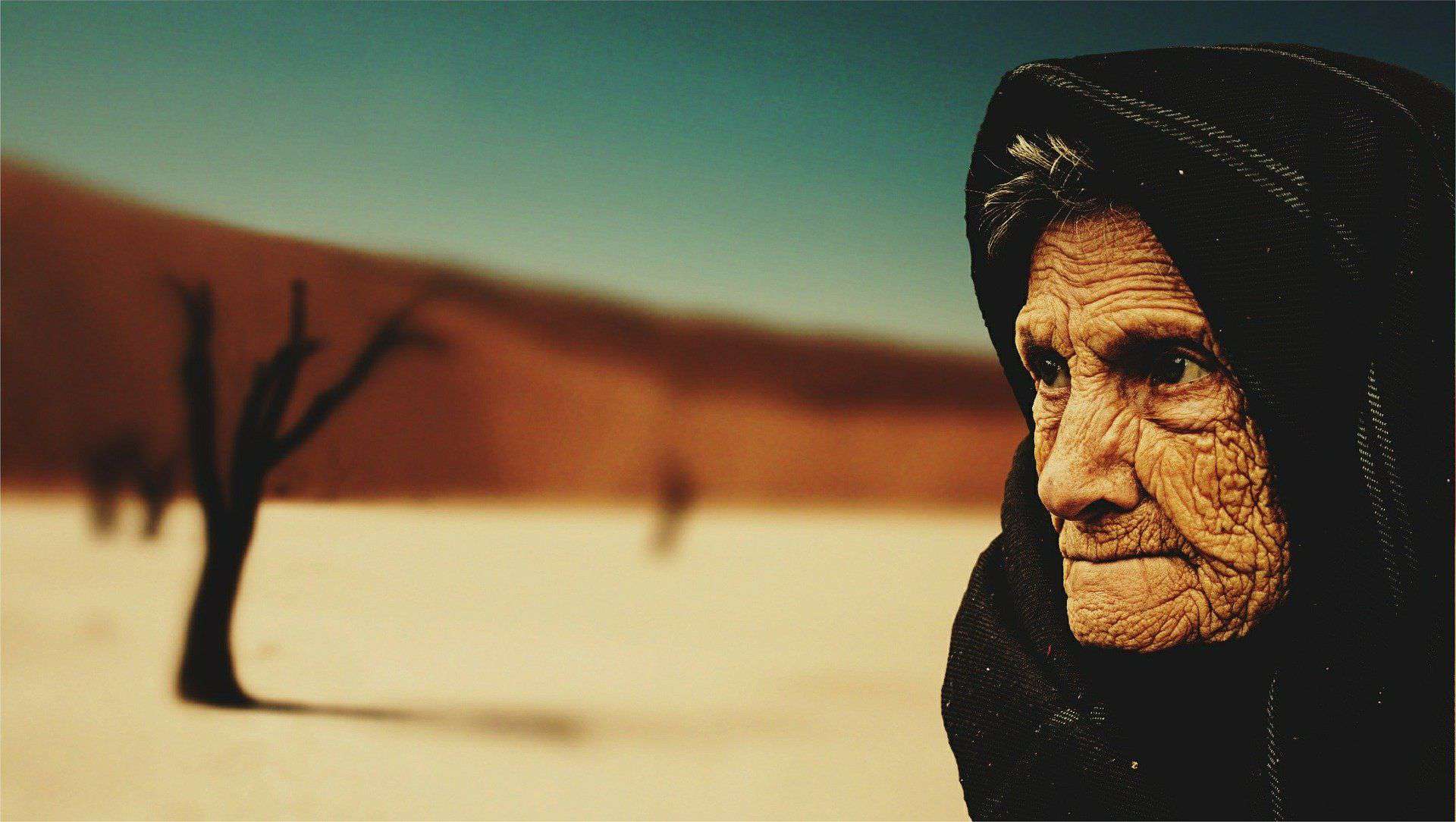 Desert Survival Tactics