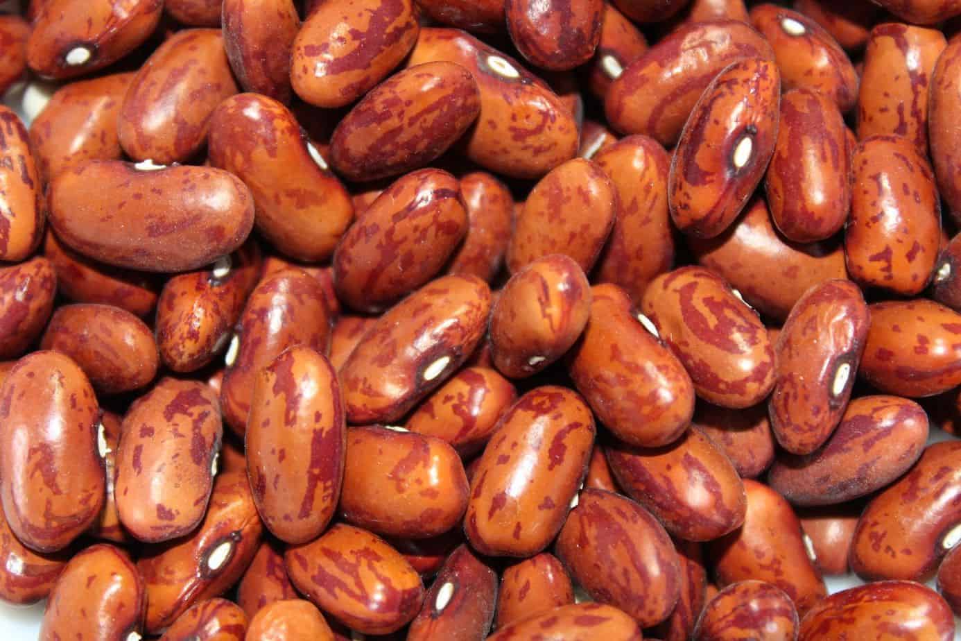 Are you getting enough protein and amino acids?