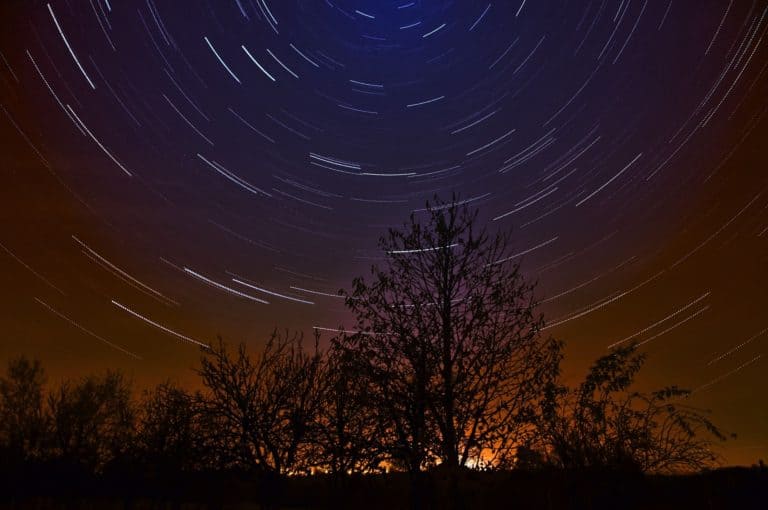 12 Ways To Figure Out Your Direction Without A Compass