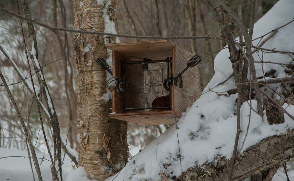 Building Traps and Snares