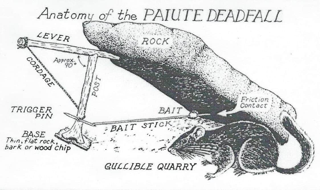 Building Traps and Snares