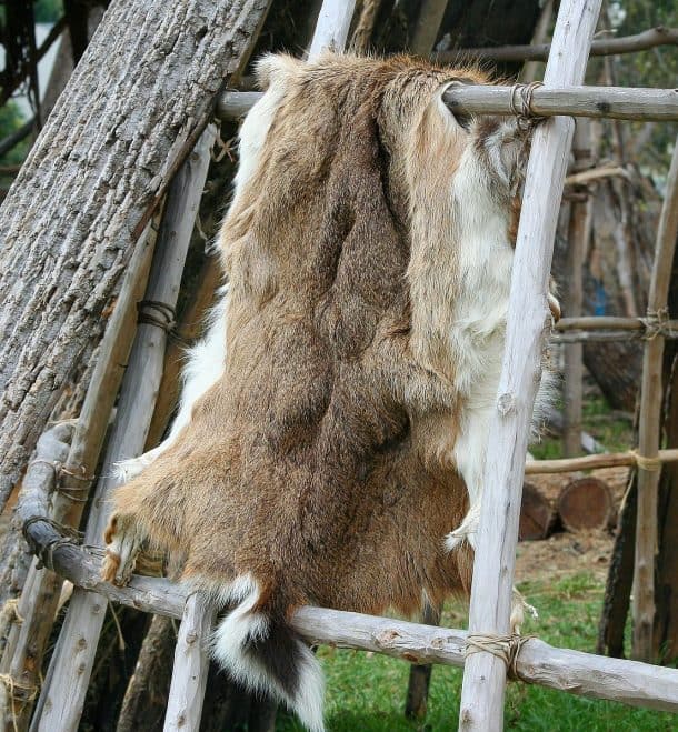 Simple Steps For Tanning Hides