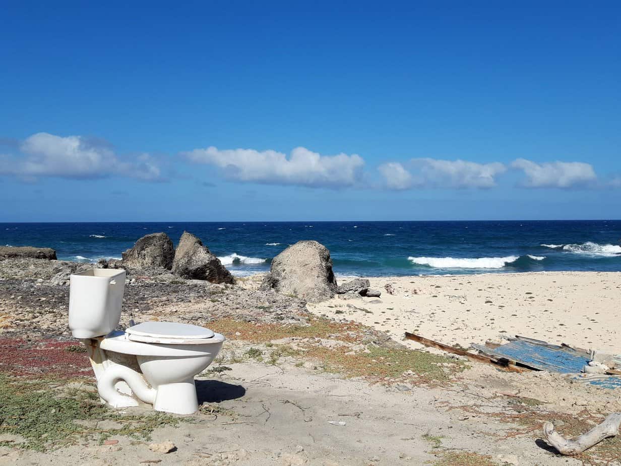 How To Build A Composting Toilet And Why You Should Install One