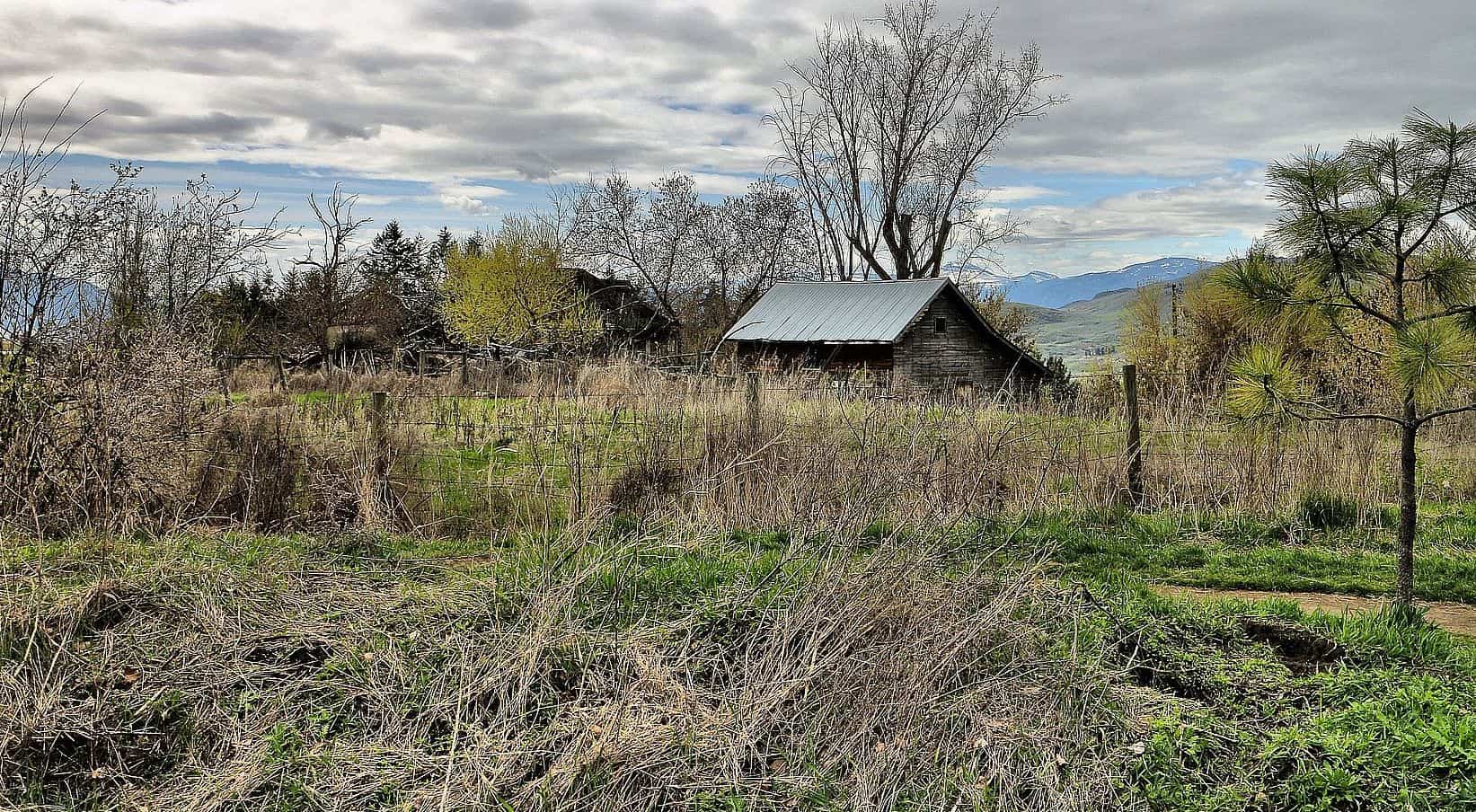 Turning A Neglected Field Into A Productive Plot Of Land