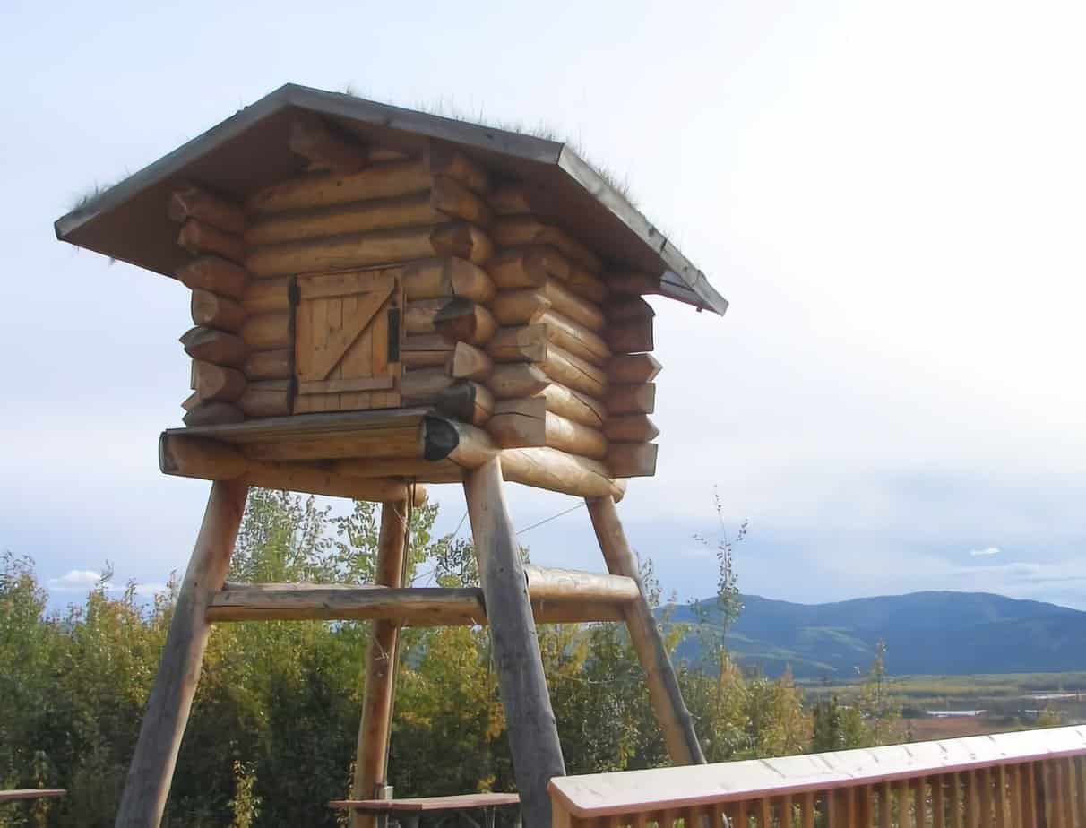 How To Deal With Wild Animals In The Mountains