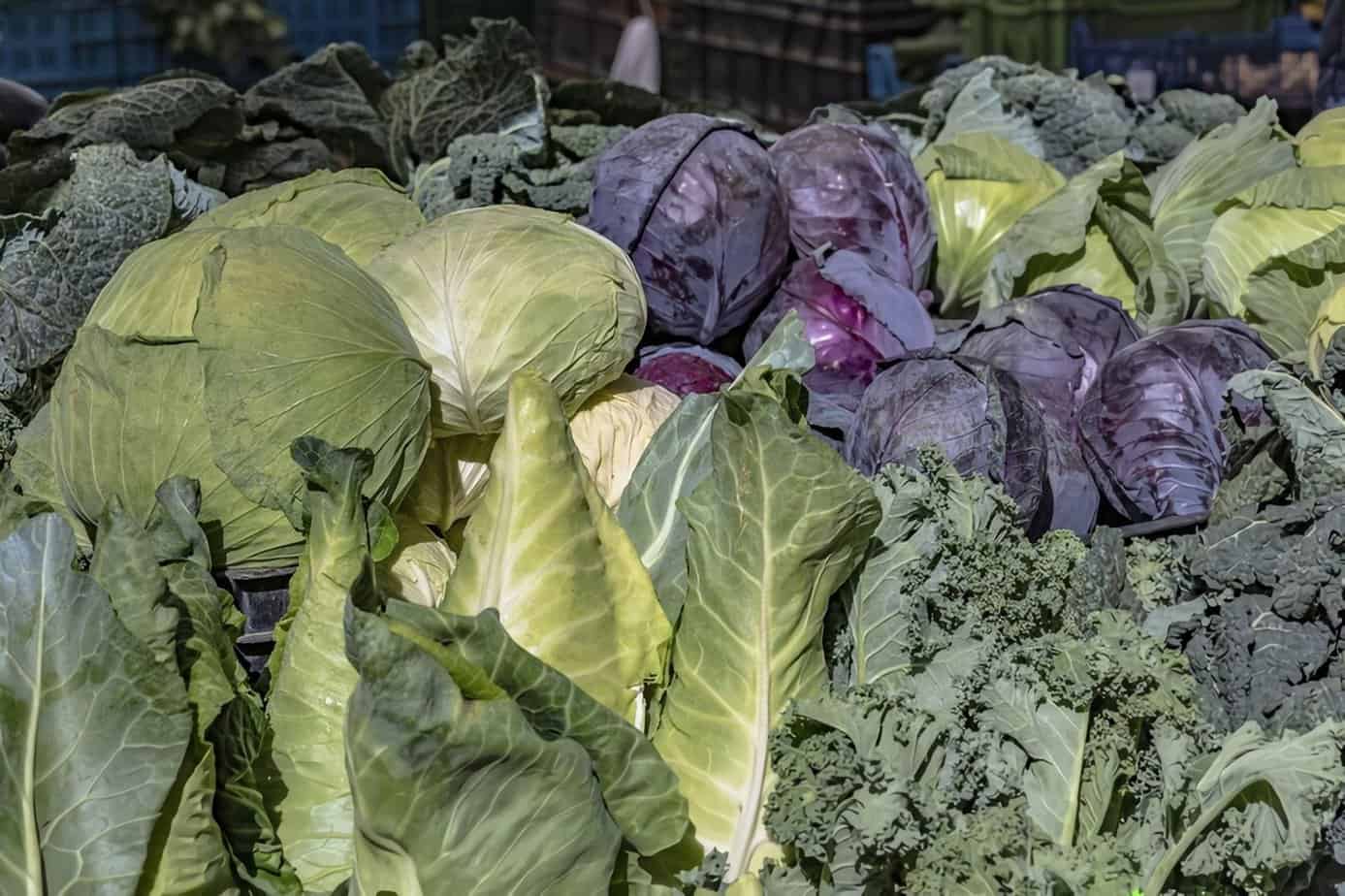 The Best Staple Crops To Grow For Food Independence