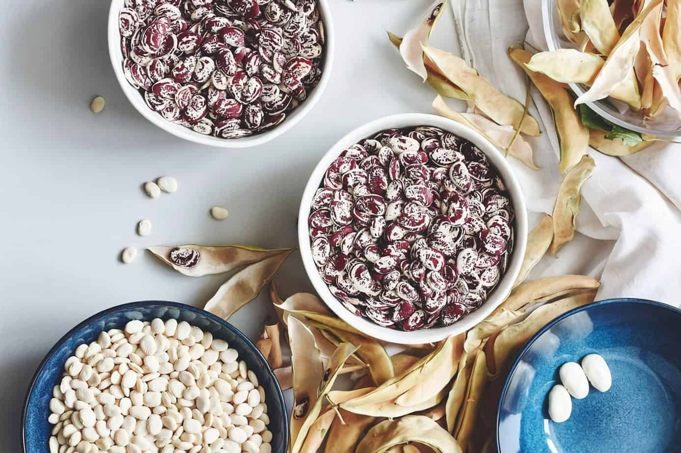 The Best Staple Crops To Grow For Food Independence