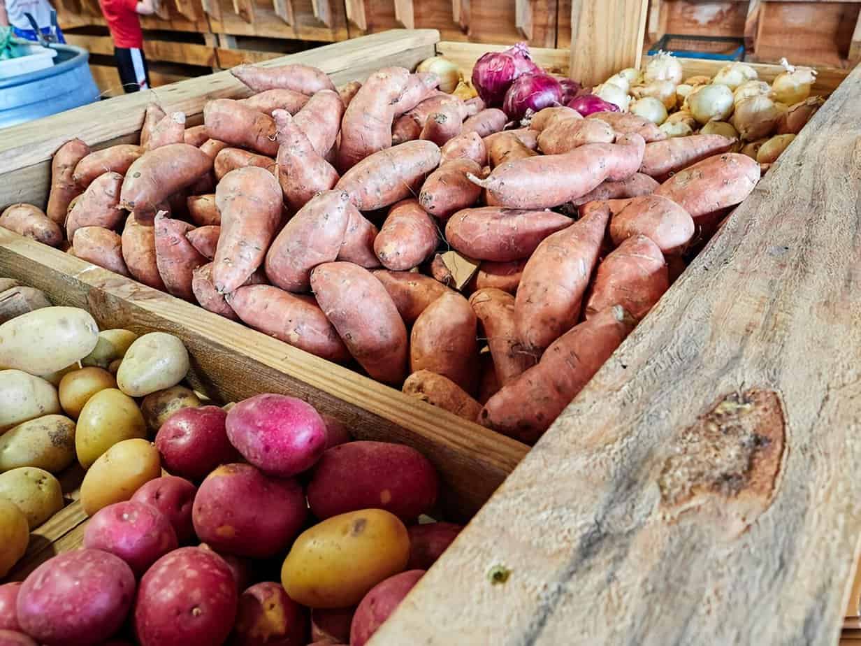 The Best Staple Crops To Grow For Food Independence