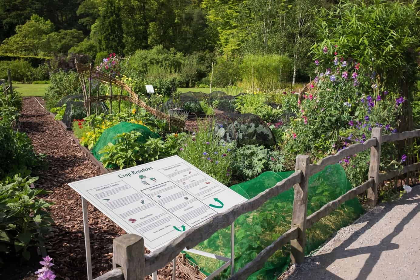 How To Maintain Healthy Soil With Crop Rotation