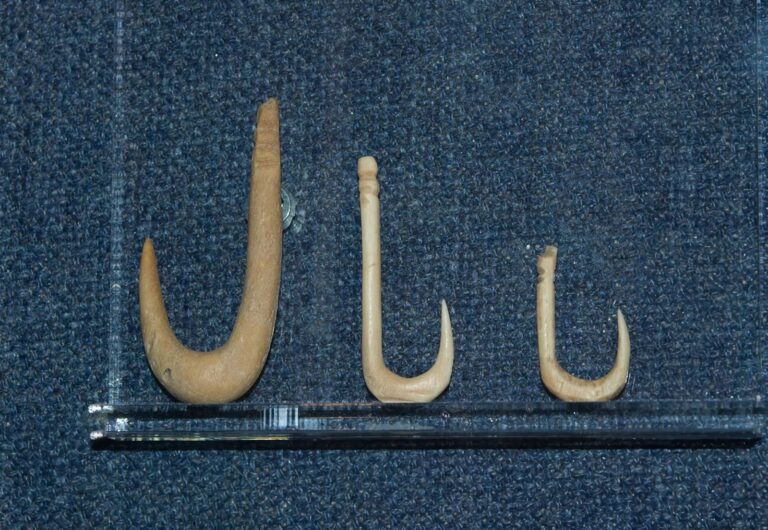 A Few Tricks To Turn Woods Trash Into Survival Items