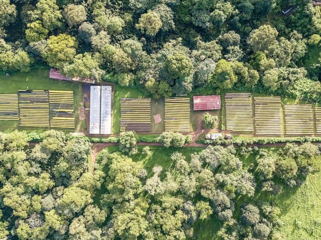 How To Improve Your Property With Agroforestry