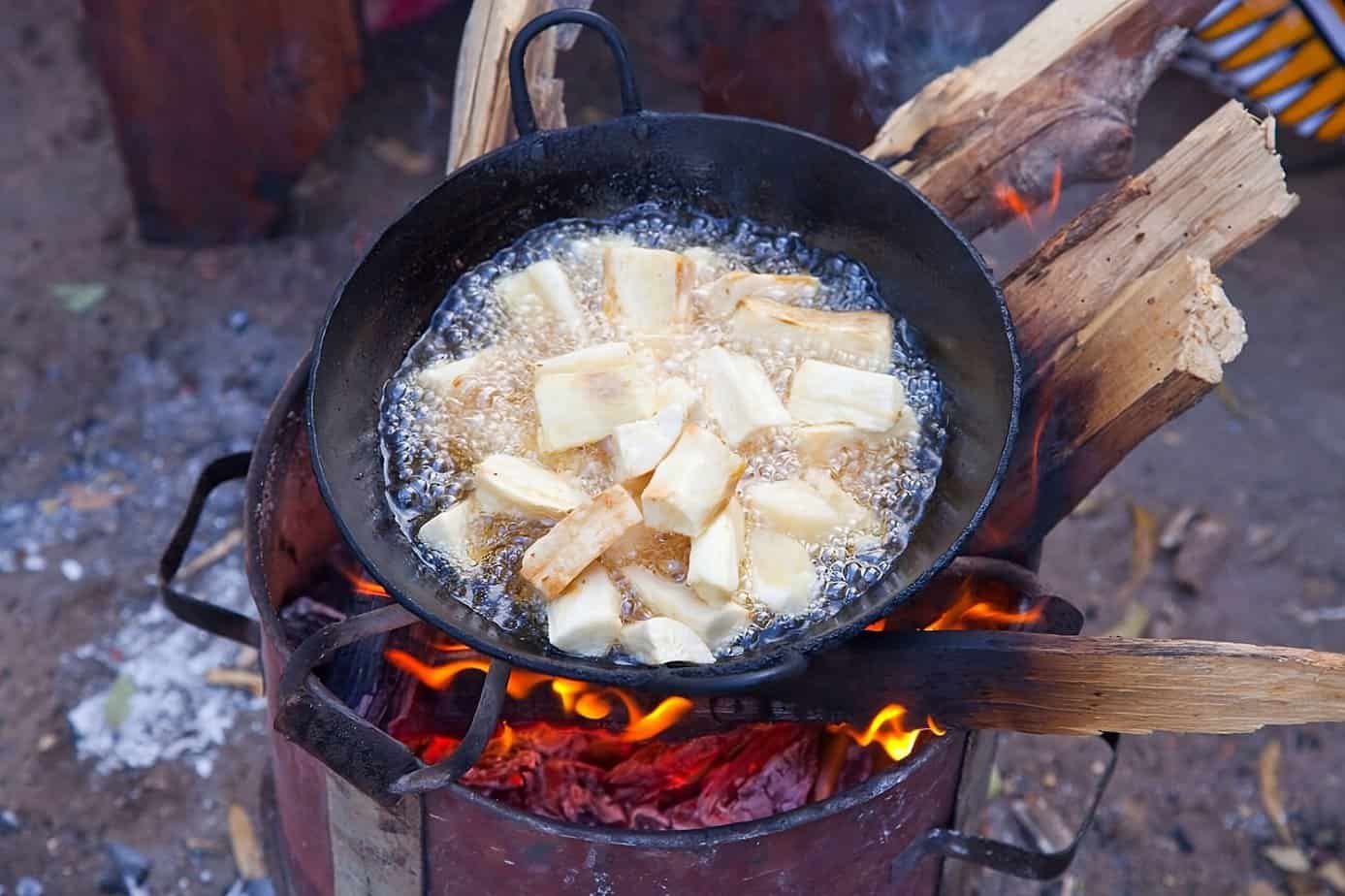 Edible Desert Plants You Can Safely Use When There's No Food