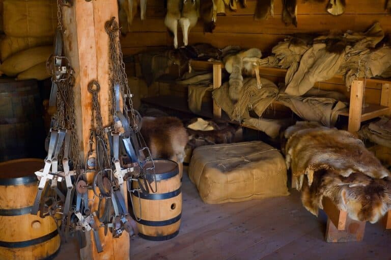 A Beginner’s Guide To Trapping