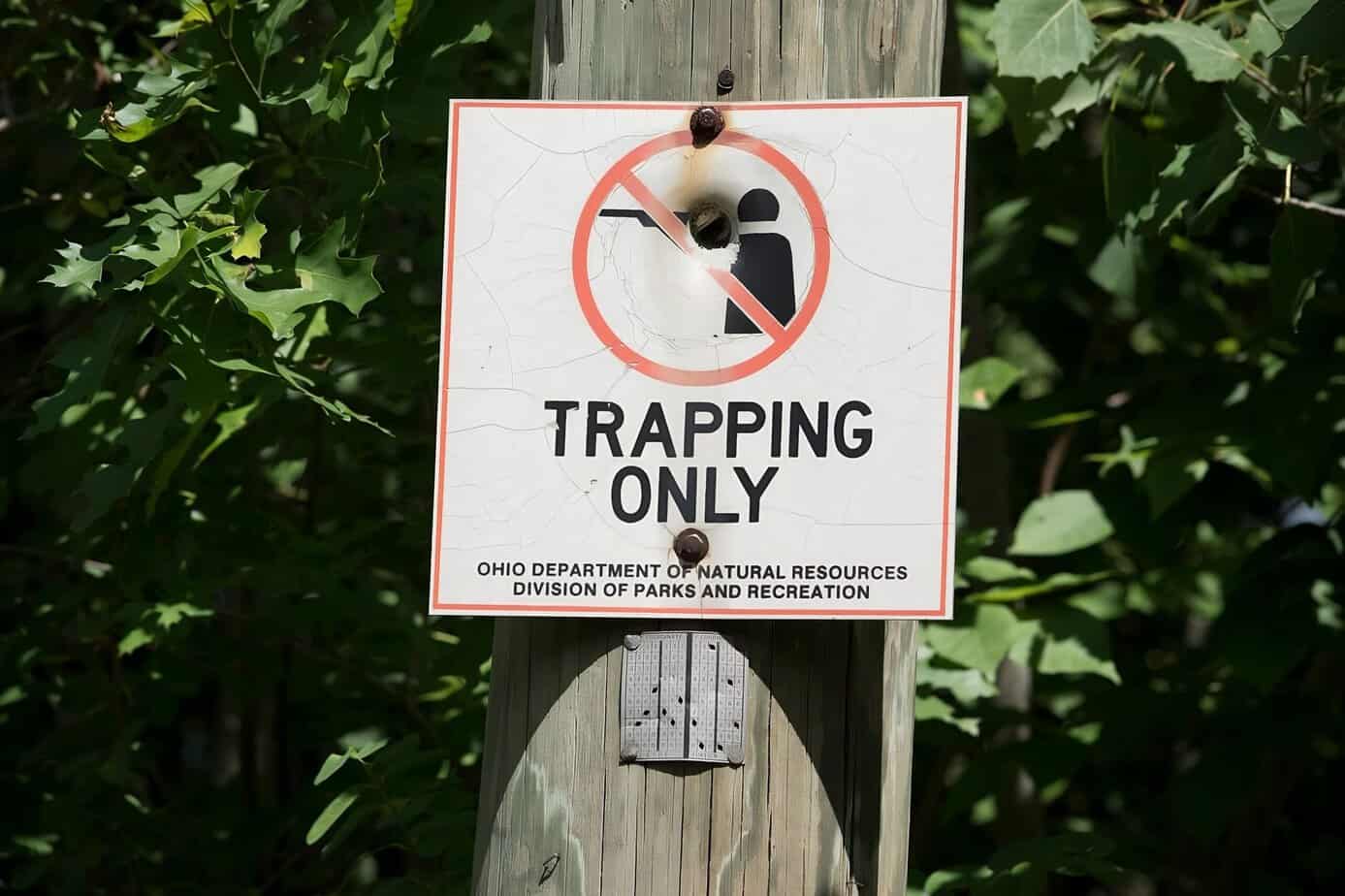 A Beginner’s Guide To Trapping