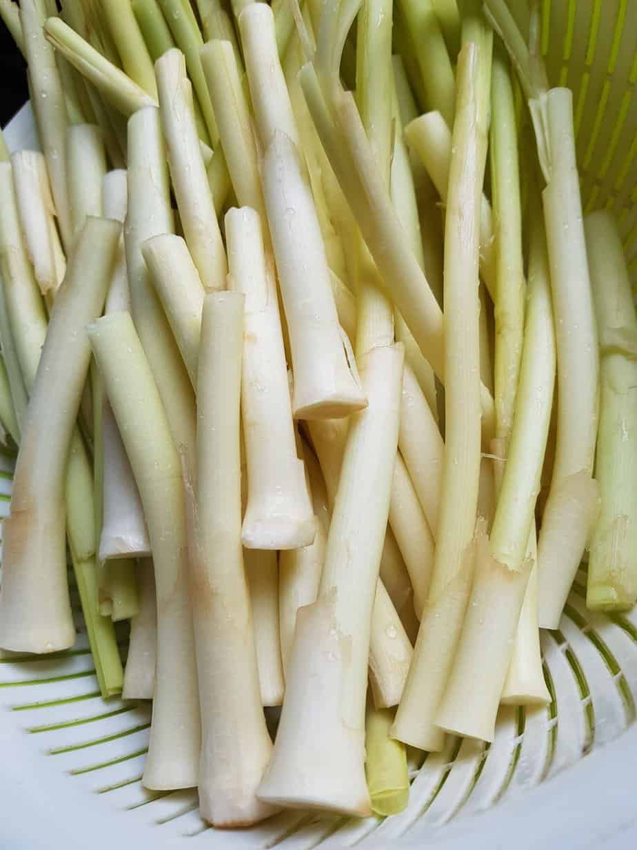 Cattail - A Handy Survival Plant