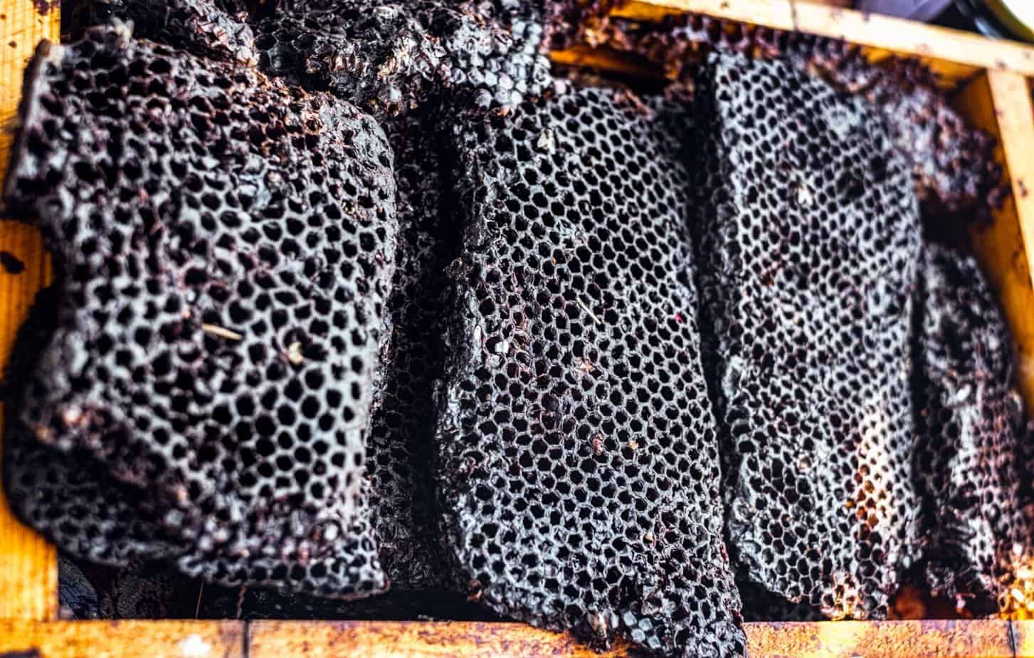 A Few Reasons Why Adding Honey To Your Preps Is A Must