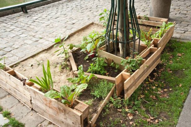 What You Should Know About Guerilla Gardening