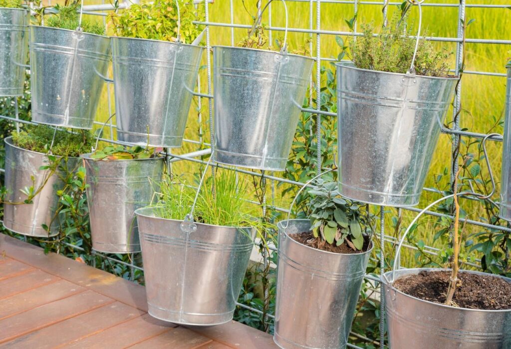 Best Vegetables For Bucket Gardening – Part II