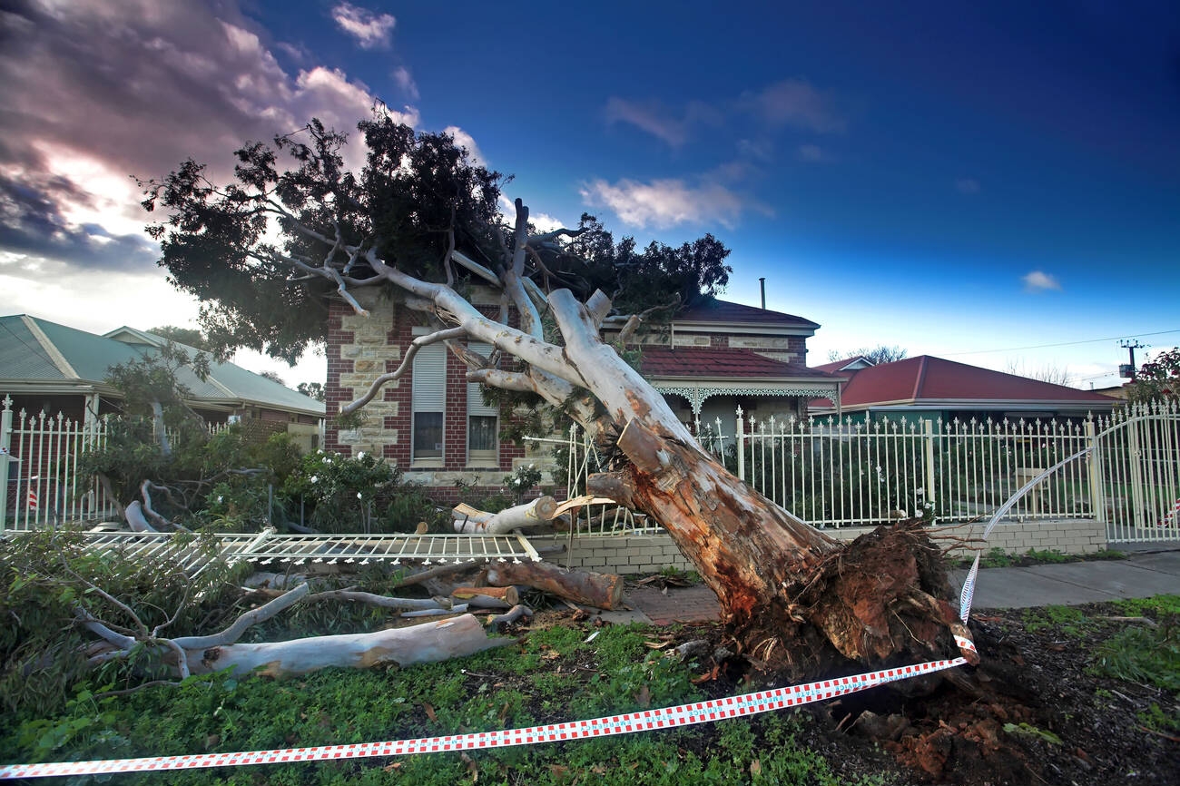 The Complete Guide To Survive Hurricane Season – Part II